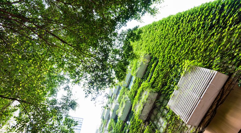 Super low energy buildings in Singapore | JLL