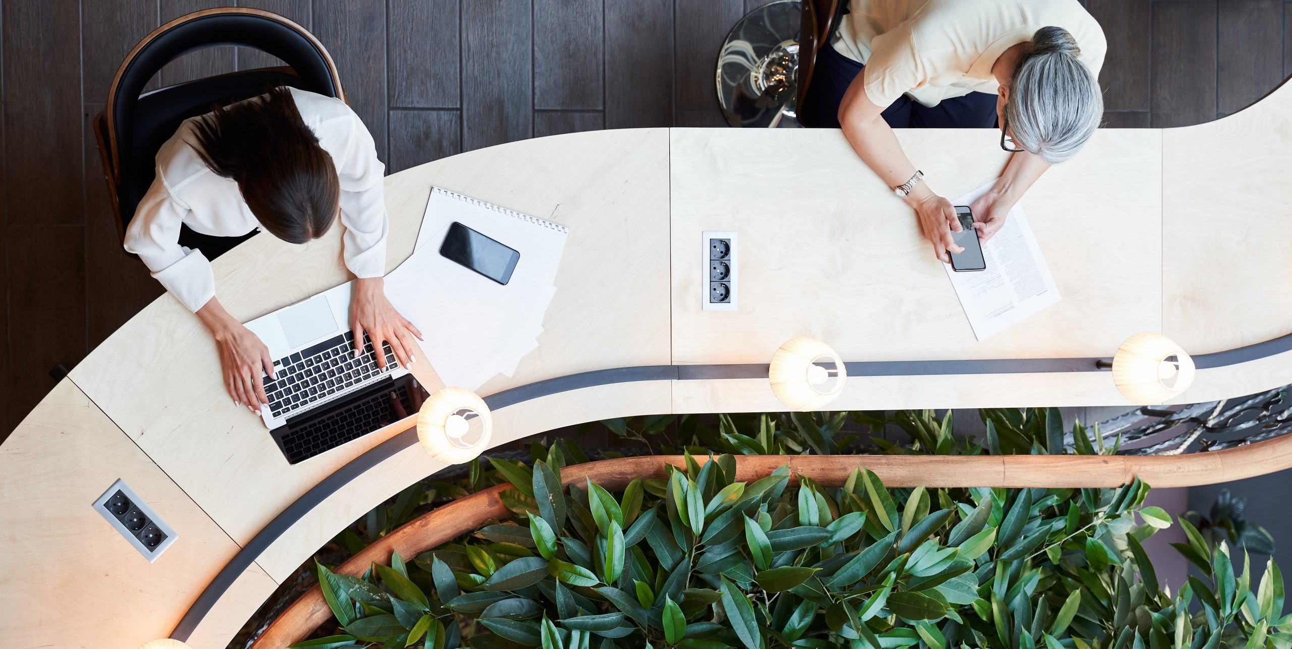 Rising relevance of Biophilic workplaces in India | JLL