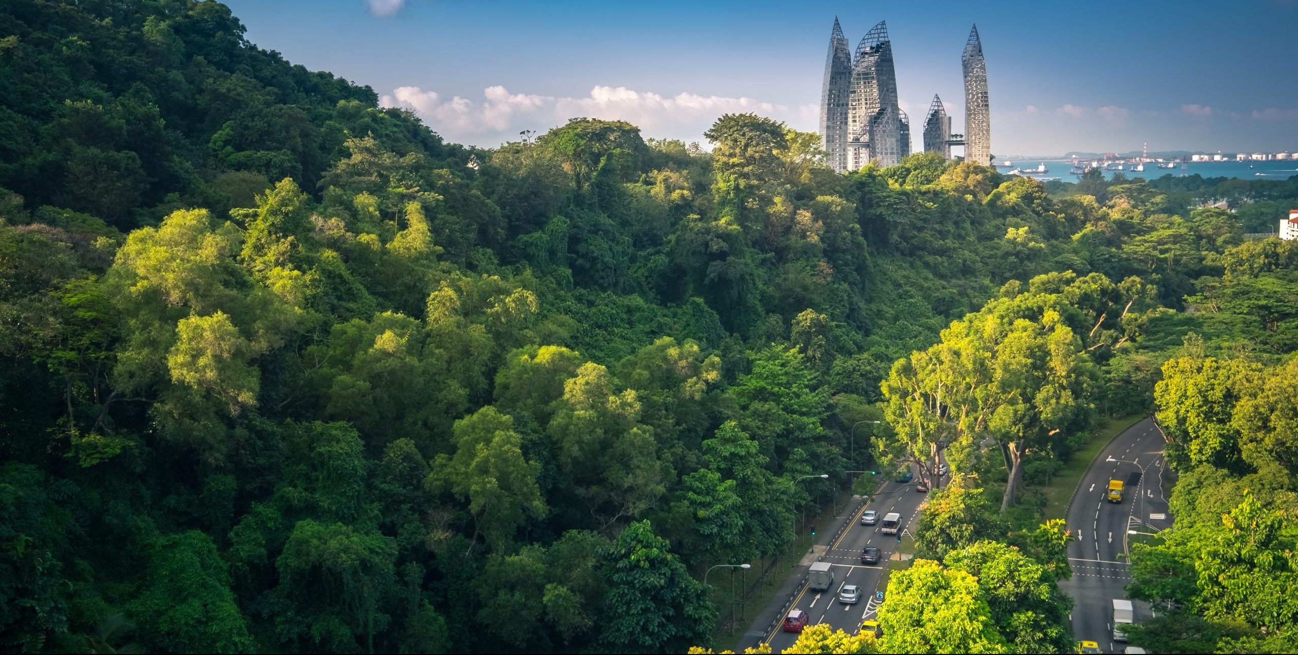 Building for biodiversity in Asia Pacific | JLL
